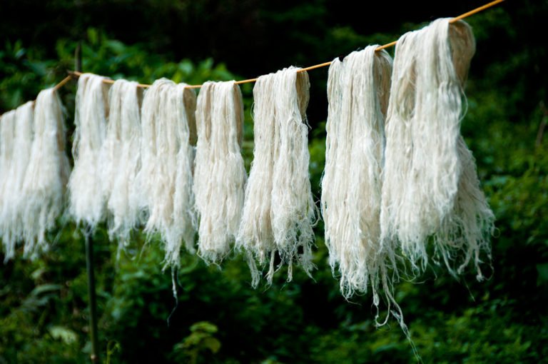 Natural Cellulosic Leaf Fibres - Textile School
