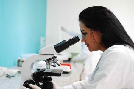 Microscopic appearance of Fibers - Textile School