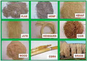 Bast Fibers: Hemp, Ramie, and Jute Properties - Textile School