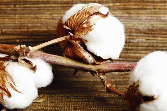 Best Practices in Fiber Blending - Textile School