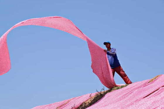 Sustainable and Eco-Friendly Textiles - Textile School
