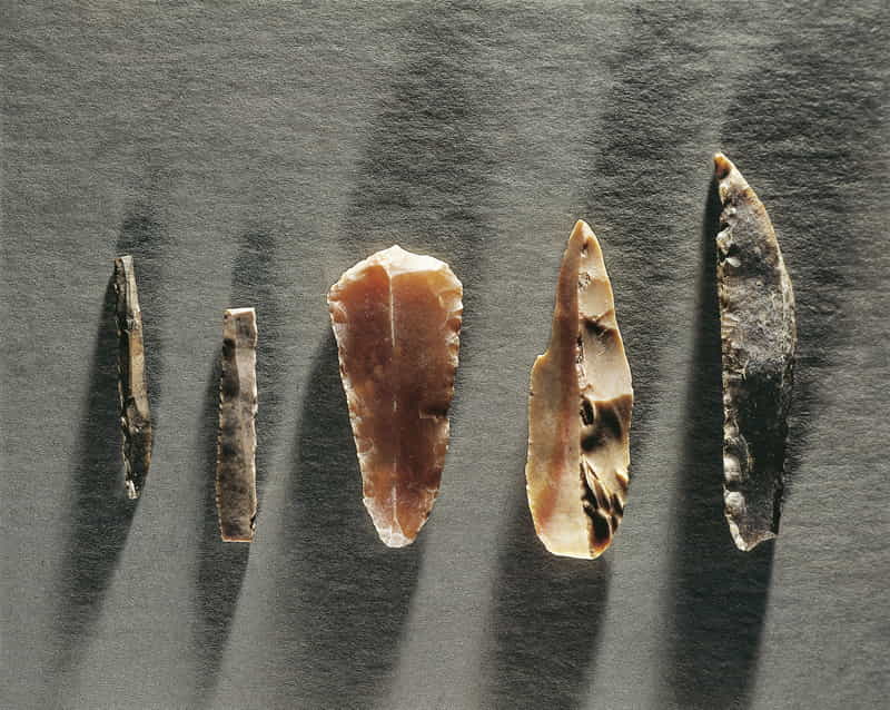 Origin of Clothing: Tracing Humanity’s Textile Journey from Prehistory ...