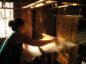 Overview of Early Textile Production: Hand Spinning and Weaving ...