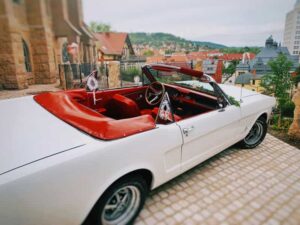 Revolutionizing Car Interiors: The Evolution and Future of Automotive ...